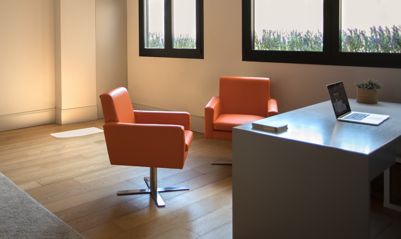 Therapies in Psyke. Emotional regulation and wellbeing based on Mindfulness