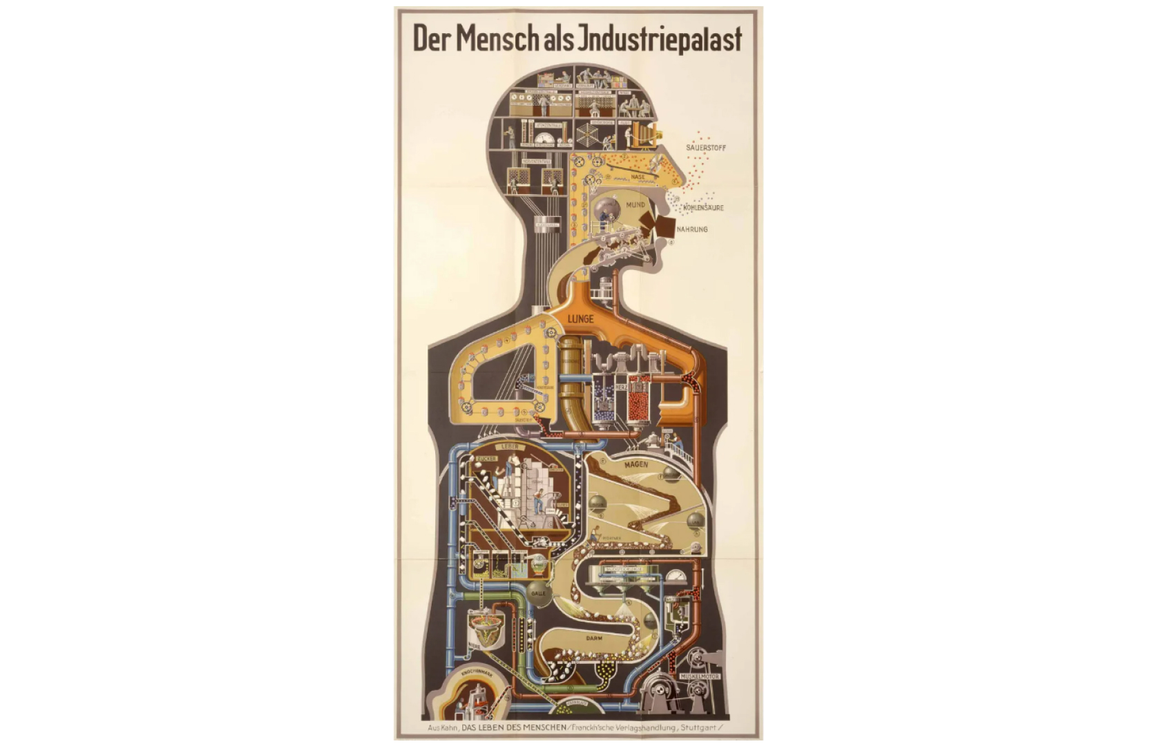 Cambia tu conducta y cambiarás tu cerebro… - Psyke